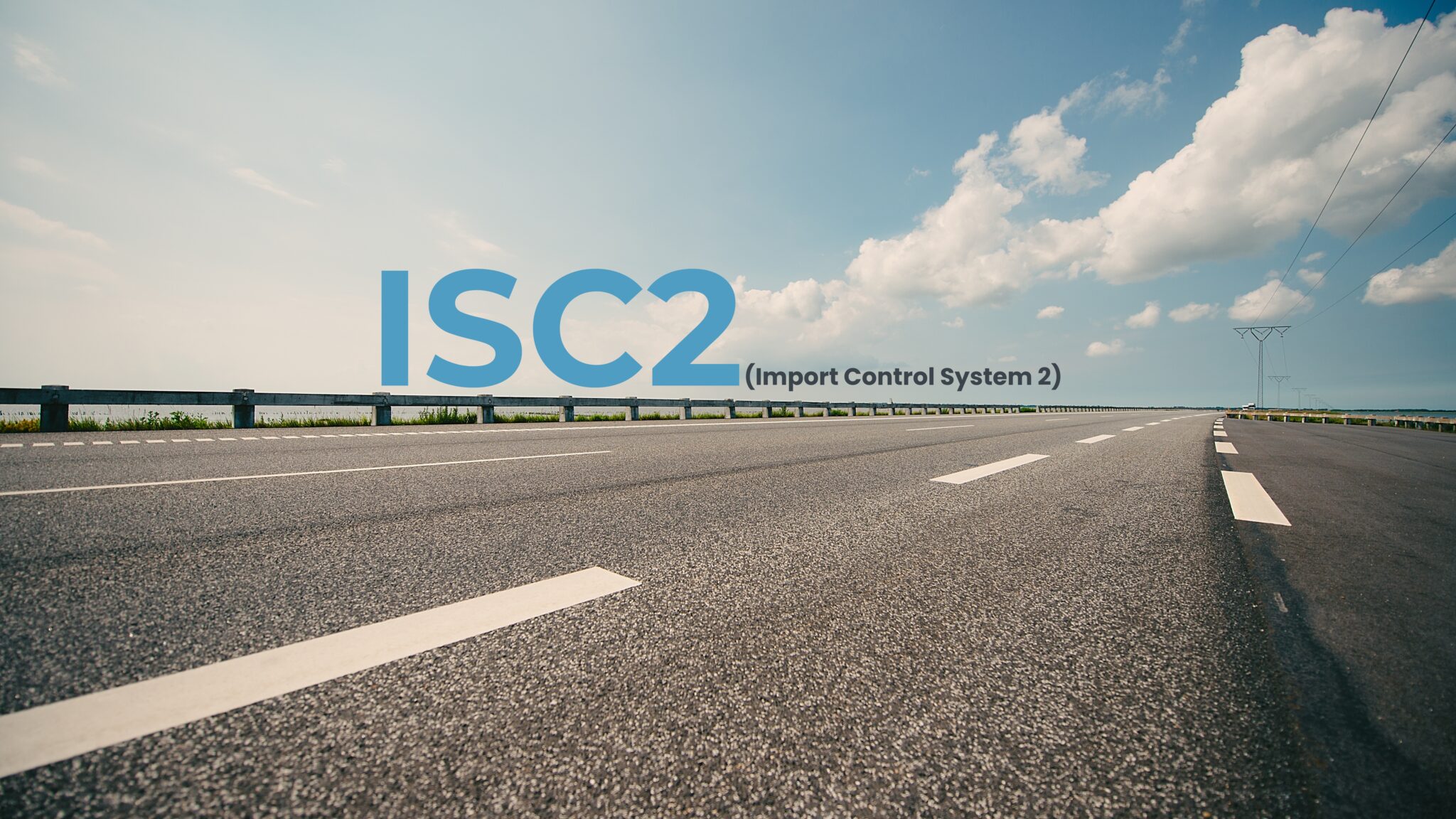 Import Control System 2 (ICS2) - Supply Chain Experts